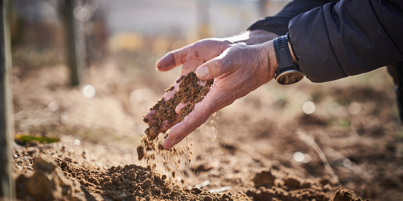 Jasper Red Blend 2022 – Raatsfamilywines